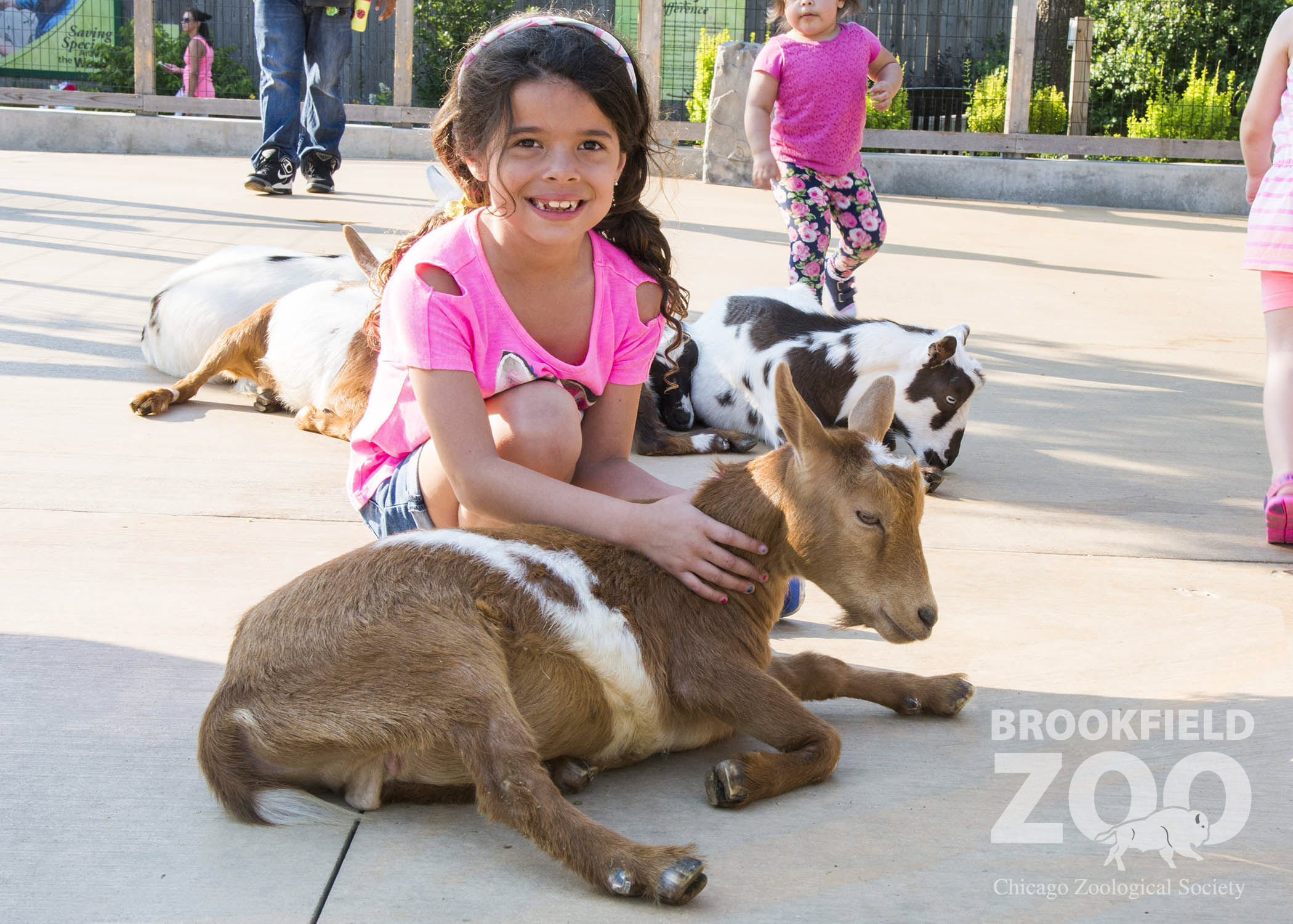 Visit Chicago Southland - Blog: 10 Things to Love About Brookfield Zoo ...